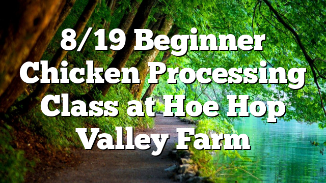 8/19 Beginner Chicken Processing Class at Hoe Hop Valley Farm – Polk ...