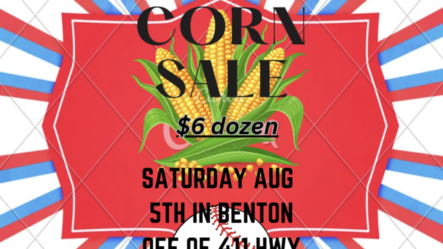 8/5 High School Baseball Team Corn and Watermelon Sale – Polk County ...