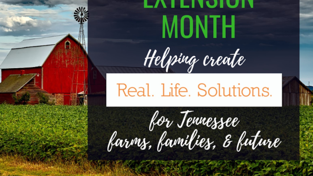 3/4 Business After Hours at the Polk County UT/TSU Extension Office ...